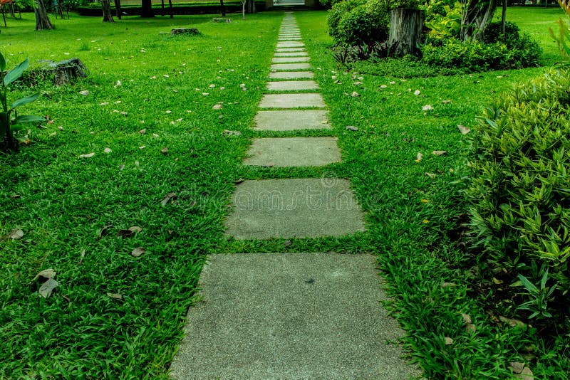 Walk in park stock image. Image of plant, green, grass - 43237563