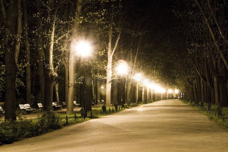 Walk in park at night stock photo. Image of darkness, evening - 3441894