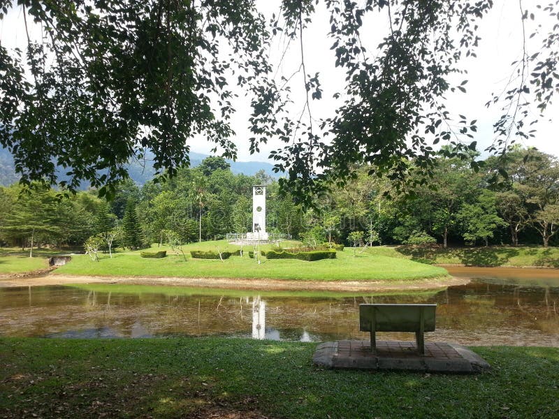 Walk in the Park Sun State Tree . Stock Photo - Image of state, park ...