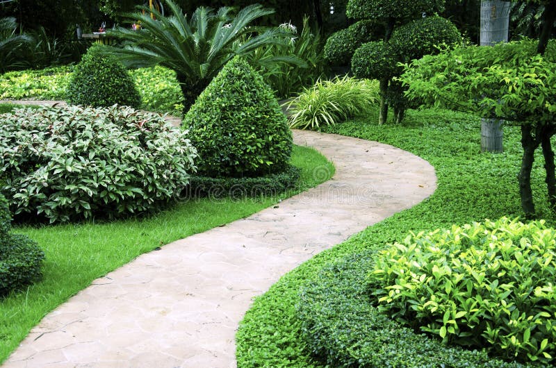 Walk in the park. stock image. Image of outside, grass - 35327435