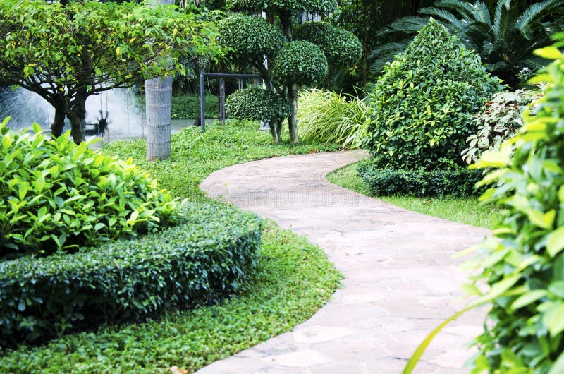 Walk in the park. stock image. Image of green, nature - 35983831