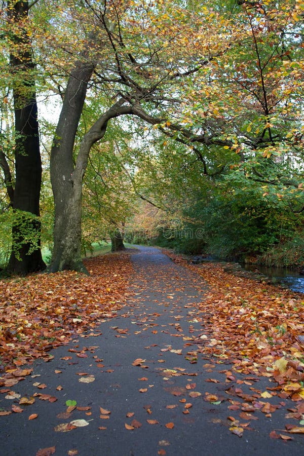 Autumn path stock photo. Image of fall, stuartkey, view - 2398208