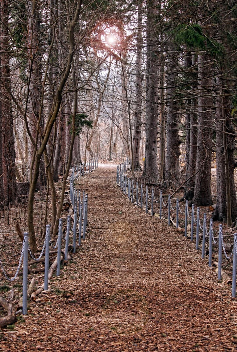 471 Walkway Path Chain Stock Photos - Free & Royalty-Free Stock Photos ...