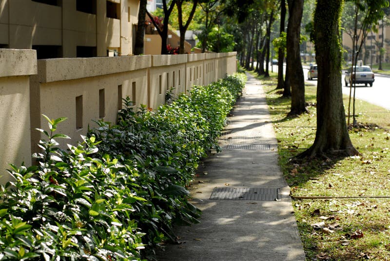 Walk path stock photo. Image of path, building, street - 2018532
