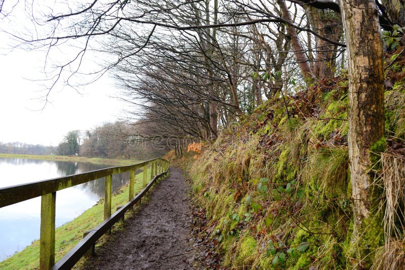 Walk path stock image. Image of path, north, landscape - 37983683