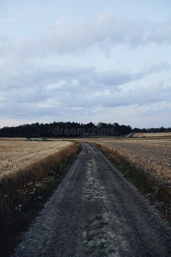Walk Path on Field during Summer Stock Image - Image of soil, path ...