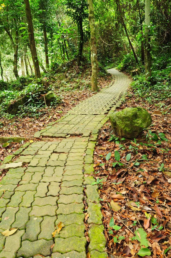 Walk Path In The Park Picture. Image: 17645042