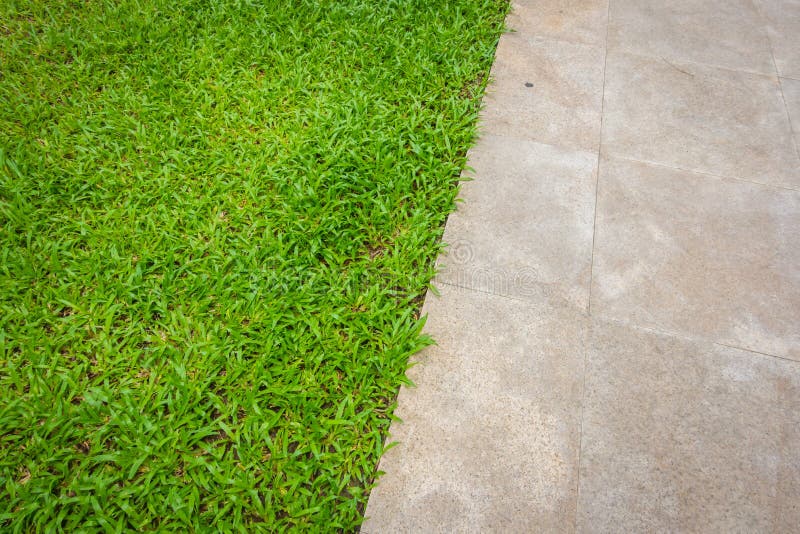 The Walk Path in the Park with Green Grass . Stock Photo - Image of ...