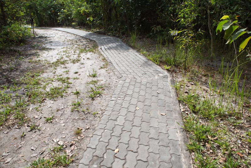 316 Wood Block Walk Path Park Stock Photos - Free & Royalty-Free Stock ...