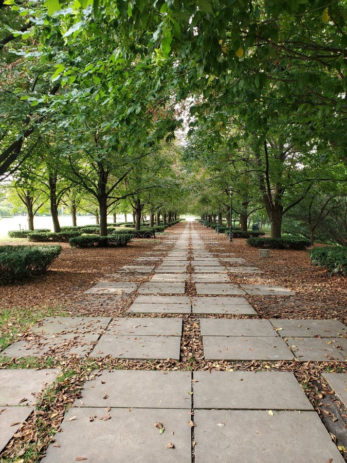 Walk the path of serenity stock photo. Image of fall - 159794162
