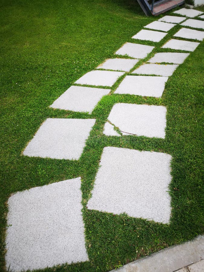 Walk pathway in the grass stock image. Image of pool - 221843373
