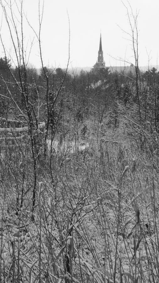 Walk in a Protected Park in Winter in the Canadian Countryside Stock ...