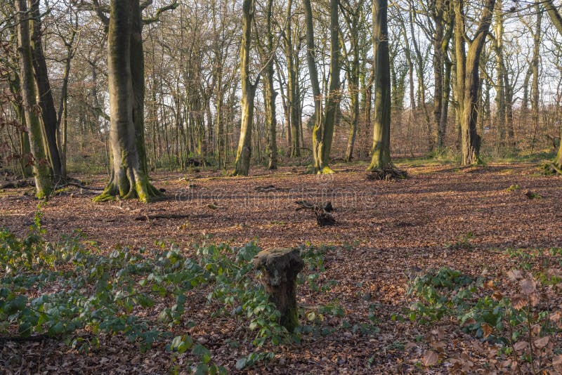 Walking the Settle Loop Above Settle and Langcliffe in the Yorkshire ...