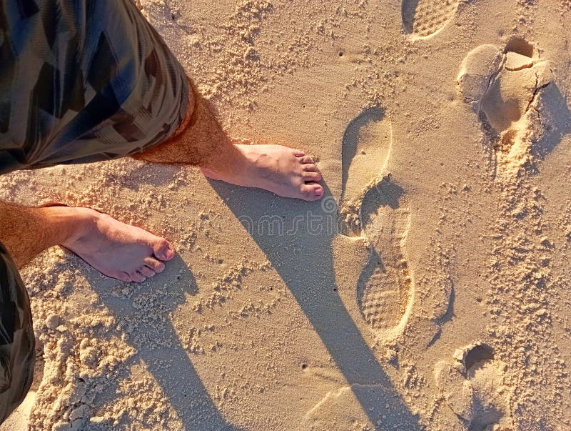 A Walk on the Sandy Beach on a Tropical Summer Day Stock Image - Image ...