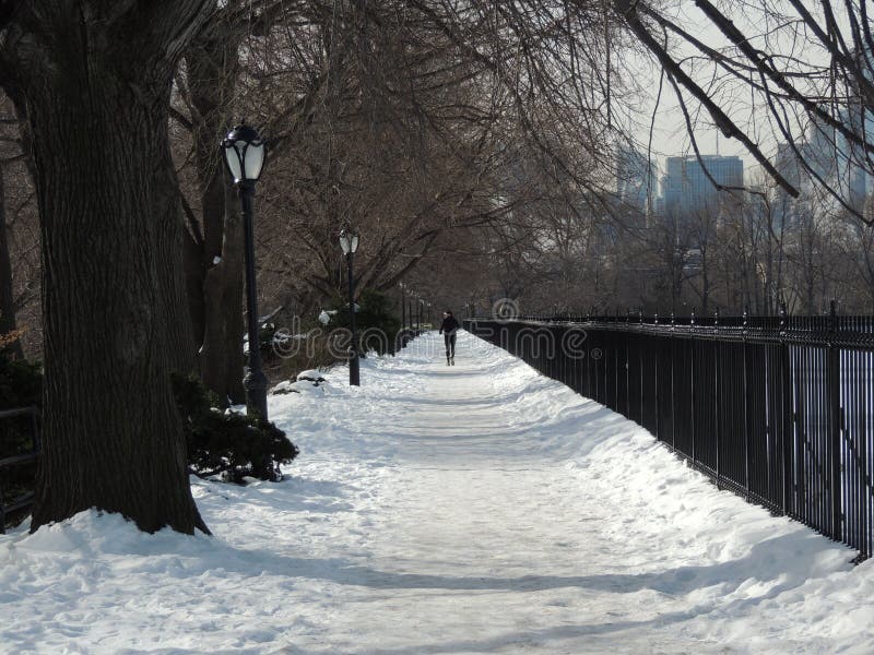 Walk in the snow stock image. Image of winter, manhattan - 82665683