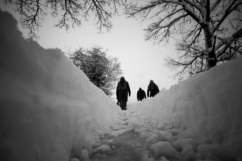 A walk in the snow stock photo. Image of beautiful, natural - 49971512