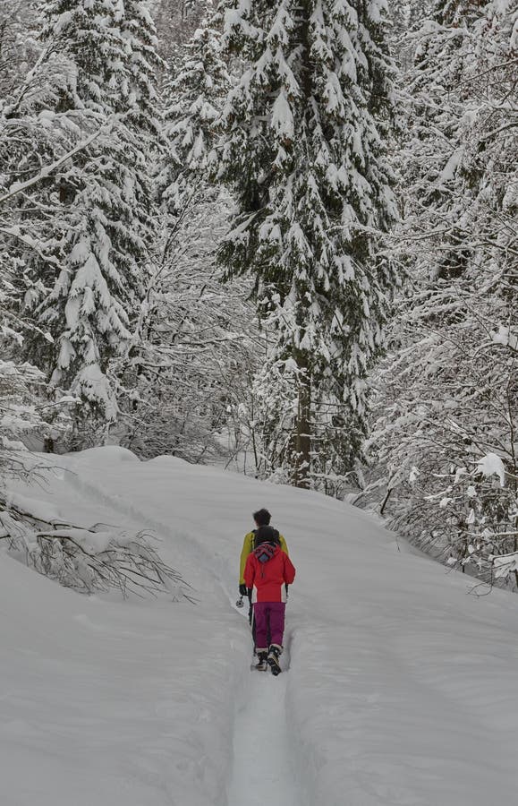 Walk in the snow with stock photo. Image of full, journey - 207160652