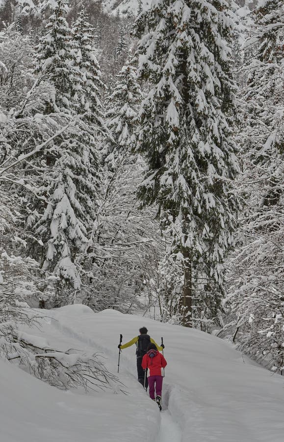 Walk in the snow with stock photo. Image of enjoyment - 207160694