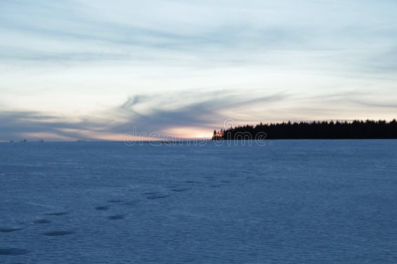 Walk through Snow in a Winter Breeze Stock Photo - Image of sunset ...
