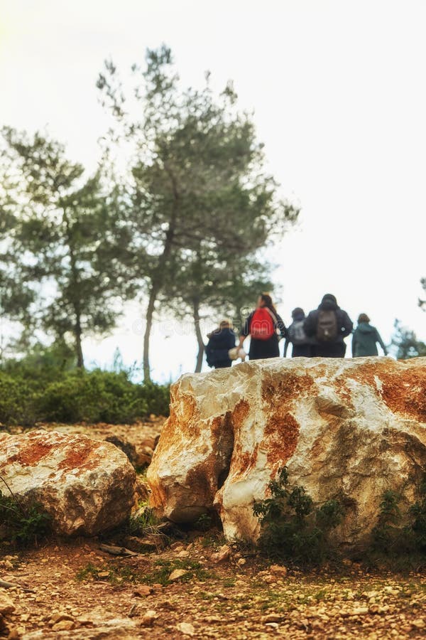 Walk in the Spring Forest, the Best Weekend Pastime with Family Stock ...