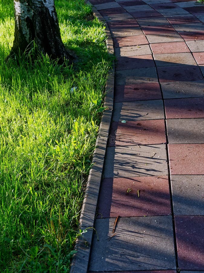 Walk of tiles in the park stock image. Image of neat - 216362739
