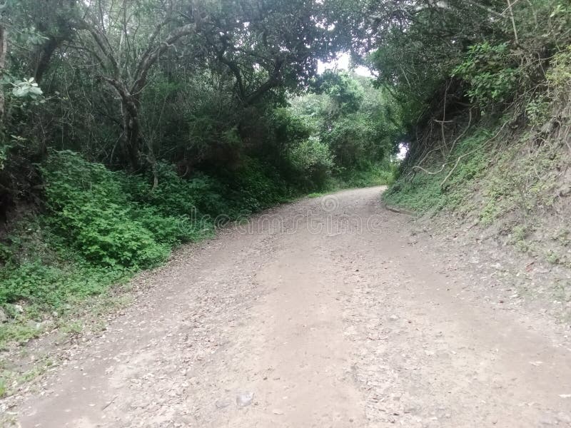 A Walk To Peaceful Place and To Make Your Day Special Stock Image ...