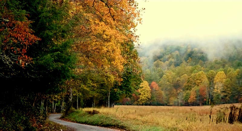 Walk Trail Dirt Path Fall Colors Stock Photo - Image of fall, path ...