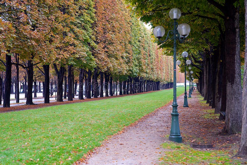 The Walk and the Big Trees at Sunset. Stock Image - Image of view ...