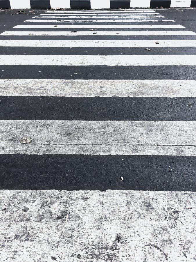 Walk Trough Zebra Cross Line Editorial Stock Image - Image of zebra ...