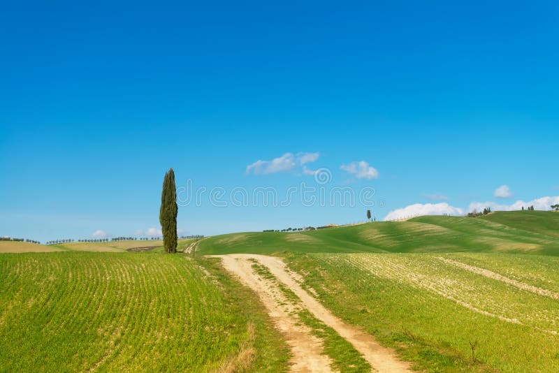 A Walk in the Tuscany Nature Stock Photo - Image of hiking, meadow ...