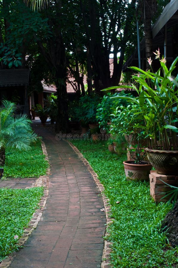 Walk way stock image. Image of green, greensward, nature - 15247597