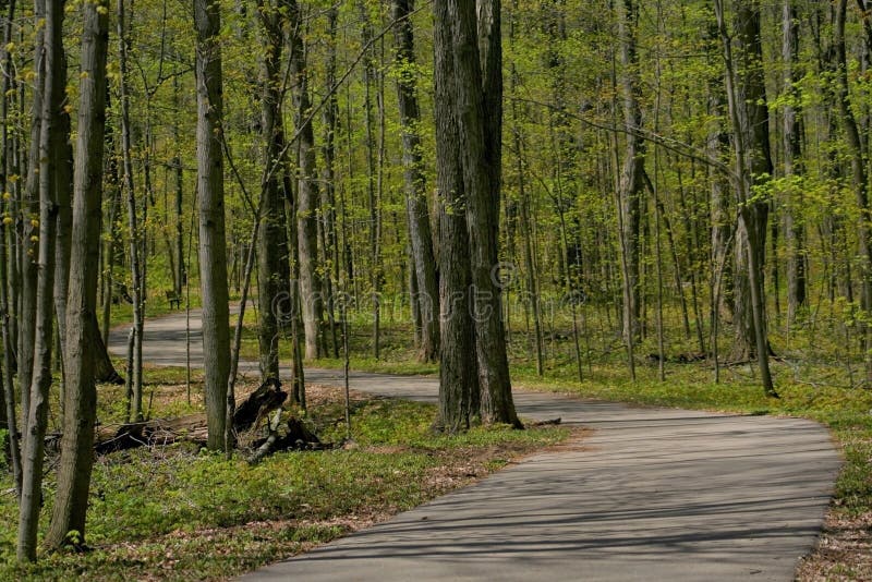 Walk way stock photo. Image of hike, outdoors, scenic - 2352846