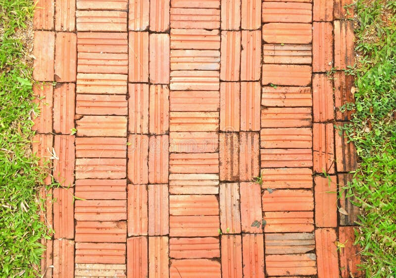 Walk Way Bricks with Grass on Two Sides and Natural Wall Pattern Stock ...
