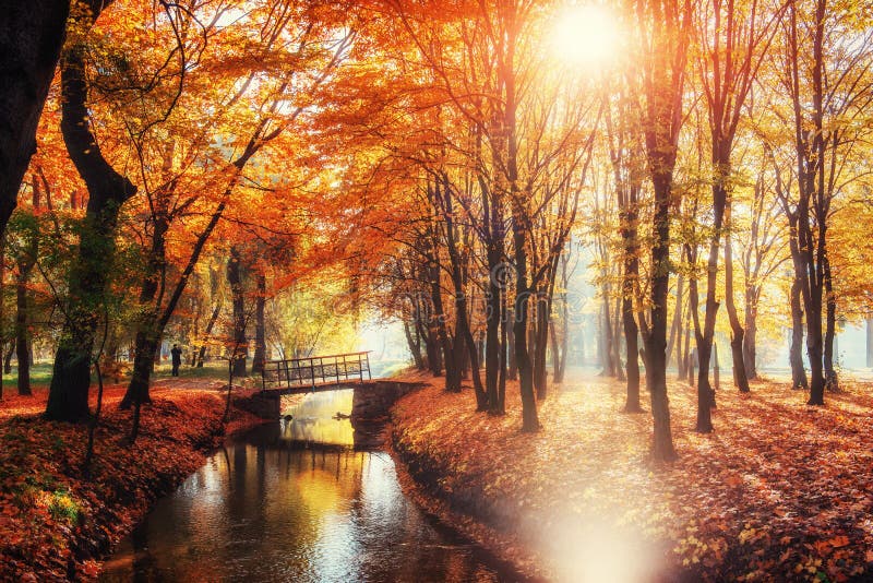 Walk Way Bridge Over River with Colorful Trees in Autumn Stock Photo ...