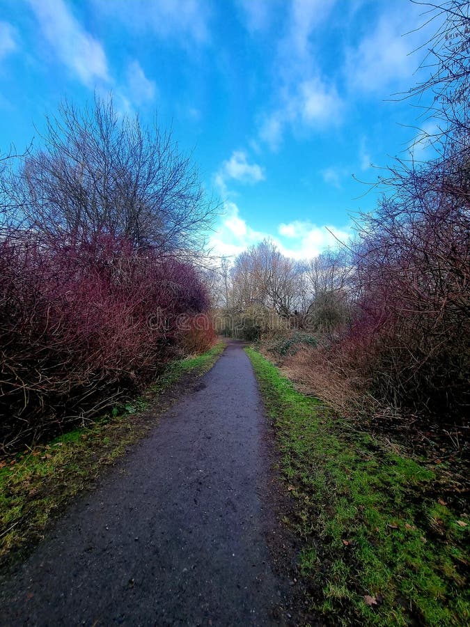 A Walk Way Bursting in Colors Stock Image - Image of colors, nature ...