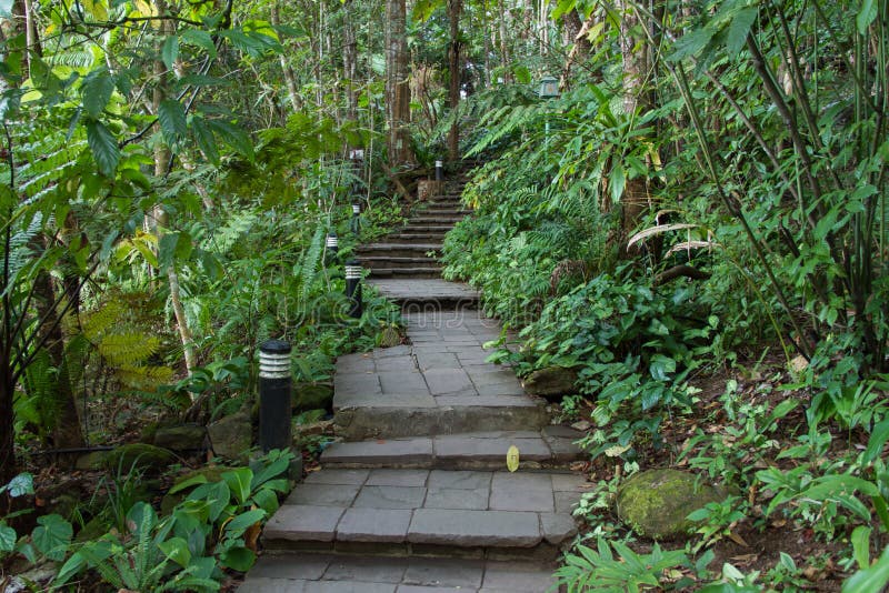 Walk way stock photo. Image of landscaping, beautiful - 85320676