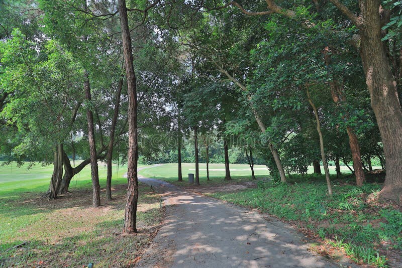 Walk Way and Green Field at Golf Club Stock Image - Image of route ...