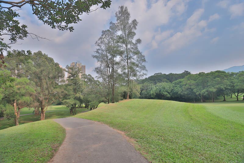 Walk Way and Green Field at Golf Club Stock Photo - Image of track ...