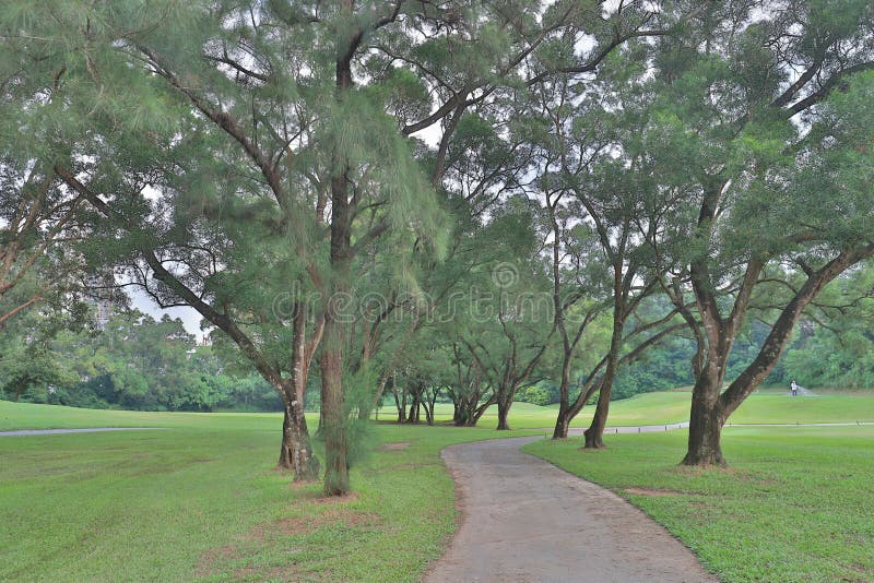 Walk Way and Green Field at Golf Club Stock Photo - Image of concept ...