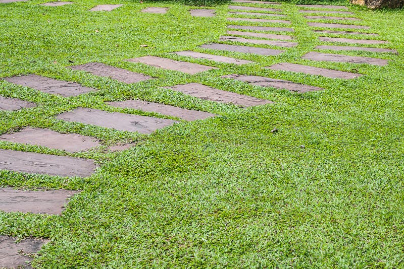 Walk way with green grass stock image. Image of fresh - 154340841