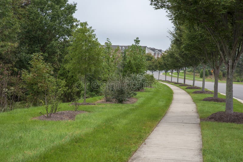 Walk Way among Green Trees and Grass Stock Image - Image of outdoor ...