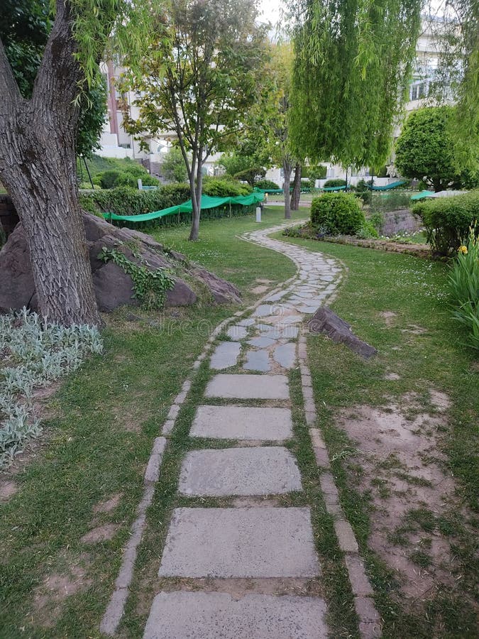 Walk way and greenery stock image. Image of garden, estate - 246887535