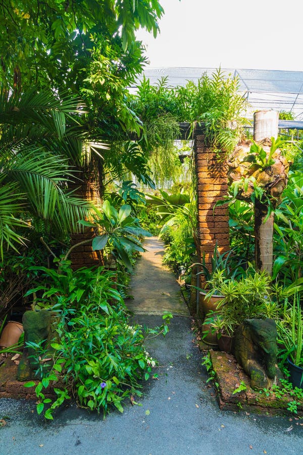 Walk way with many plant stock image. Image of walk, peaceful - 94005763