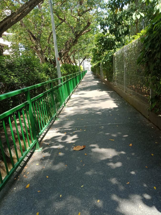 Walk Way Park stock photo. Image of though, walk, park - 122811606