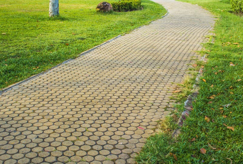 Walk way stock photo. Image of foot, landscaped, grass - 56565054