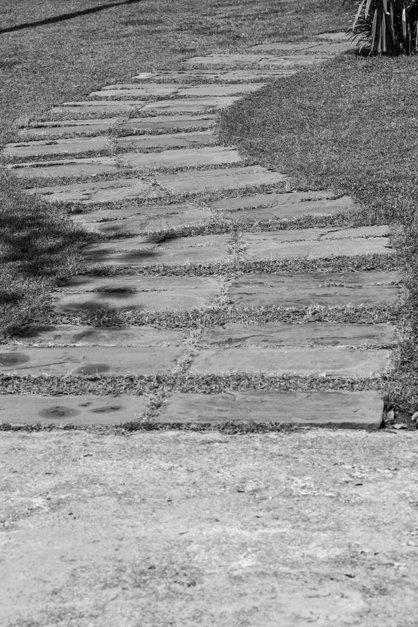 The Walk Way in the Park at Thailand. Stock Photo - Image of bush, lawn ...