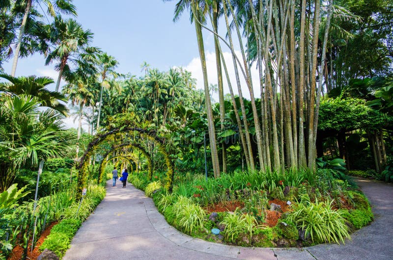 Walk Way Path through the Garden Stock Photo - Image of grass, bloom ...