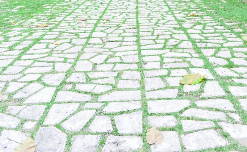 Walk Way Path with a Grass Random Stock Image - Image of jogging ...
