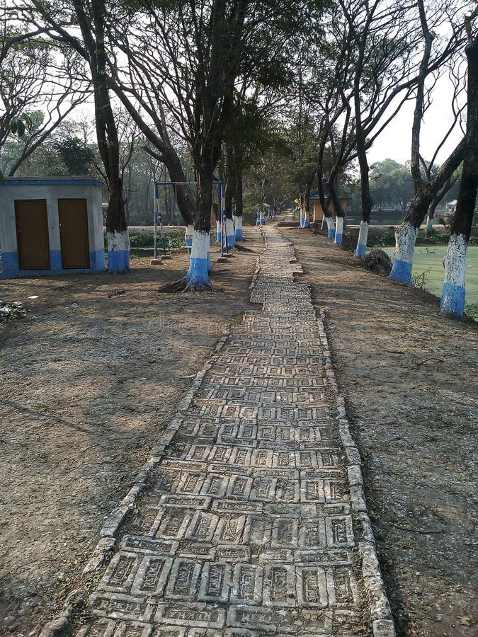 A Walk Way or Pedestrian Access through Big Painted Trees in a Park ...
