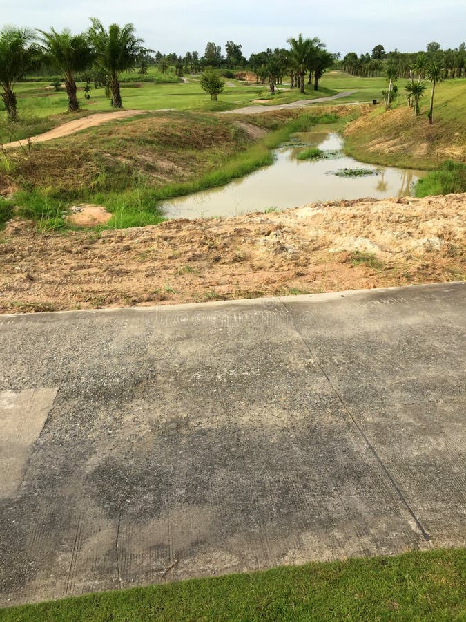 A Golf Ground and a Group of Trees Stock Image - Image of healthy ...